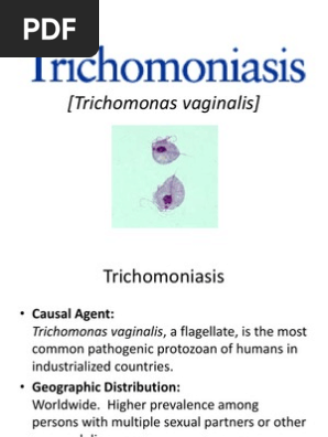 Trichomoniasis Slide