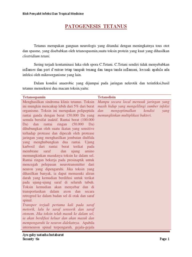 Patogenesis Tetanus | PDF