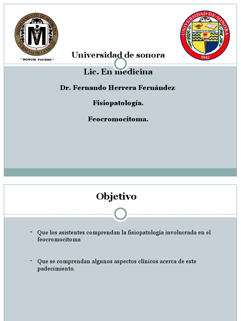 Feocromocitoma Fisiopato | PDF | Epinefrina | Hipertensión