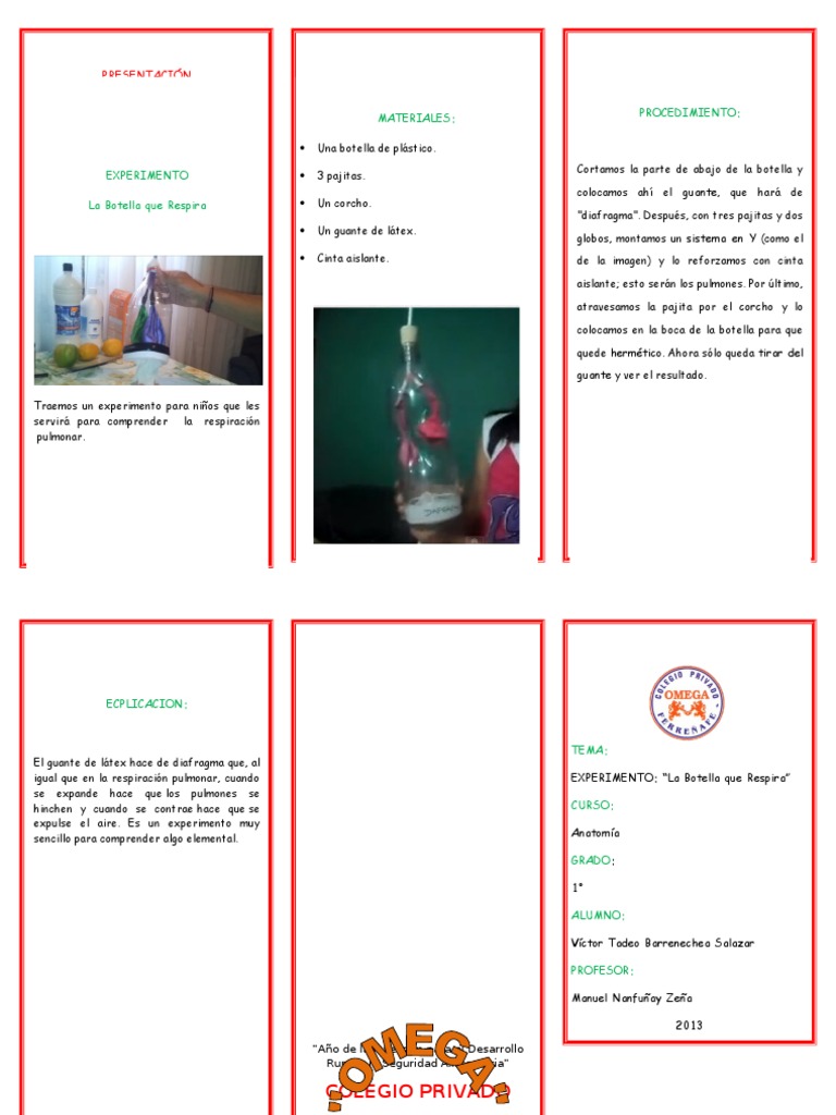 Triptico Experimeto La Botella Que Respira | PDF