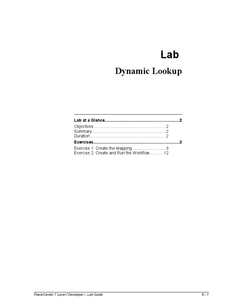 Dynamic Lookup: Lab at A Glance