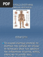 TO ΟΥΡΟΠΟΙΗΤΙΚΟ ΣΥΣΤΗΜΑ-ΑΝΑΤΟΜΙΑ | PDF