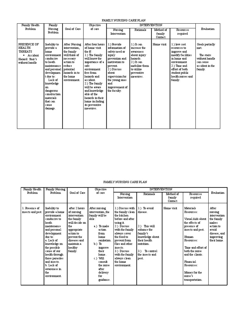 FAMILY NURSING CARE PLAN Family Health Problem Family Nursing Problem ...