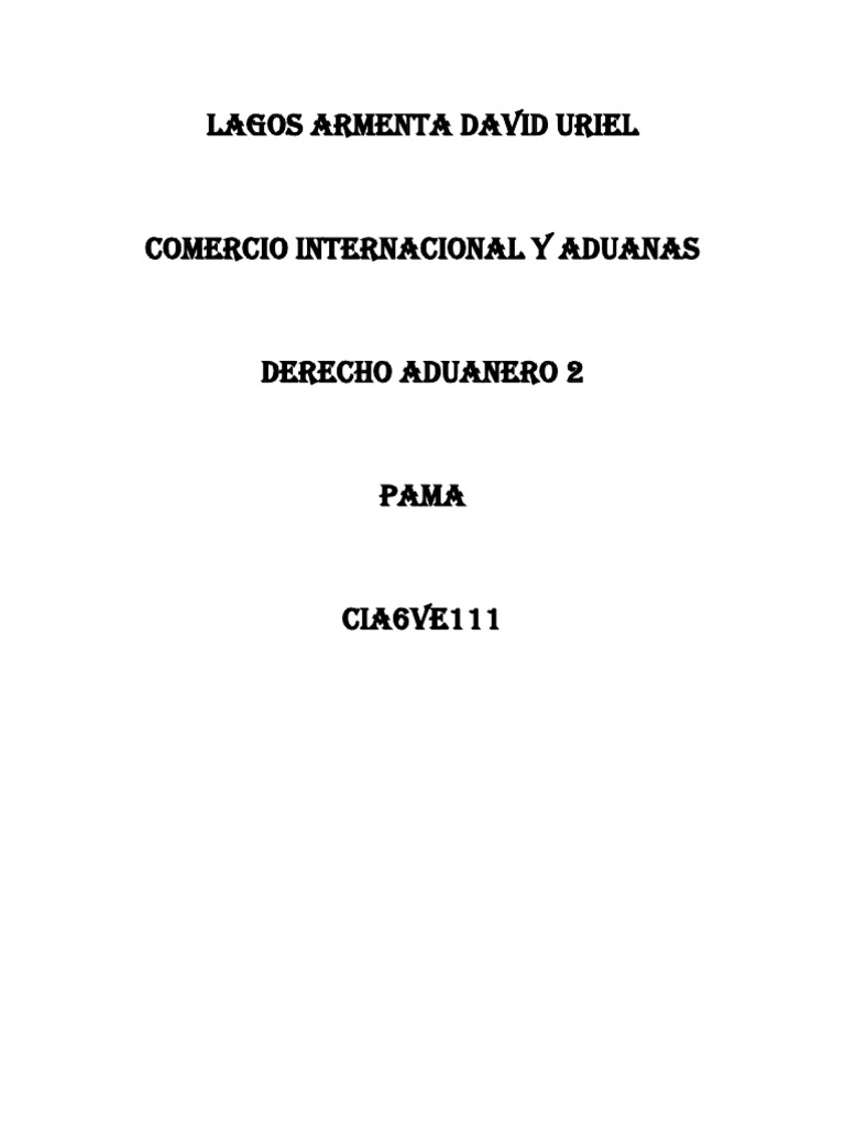 El Procedimiento Administrativo en Materia Aduanera (PAMA): Concepto ...