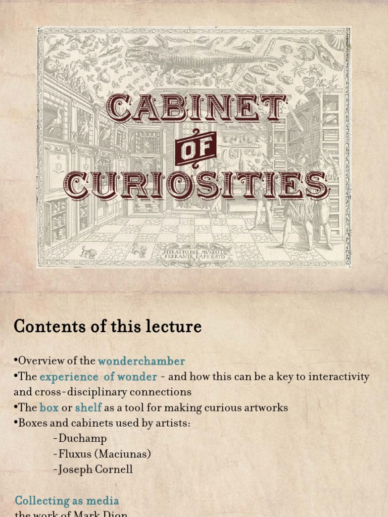 Cabinet of Curiosities | PDF | Museum | Museology