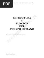 Guía 5° Sistema Locomotor | PDF | Esqueleto | Sistema ...