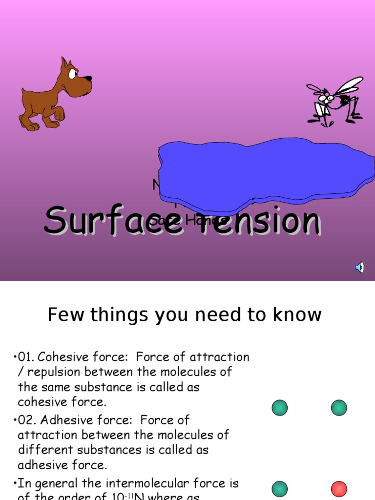 Understanding Surface Tension | PDF | Surface Tension | Wetting
