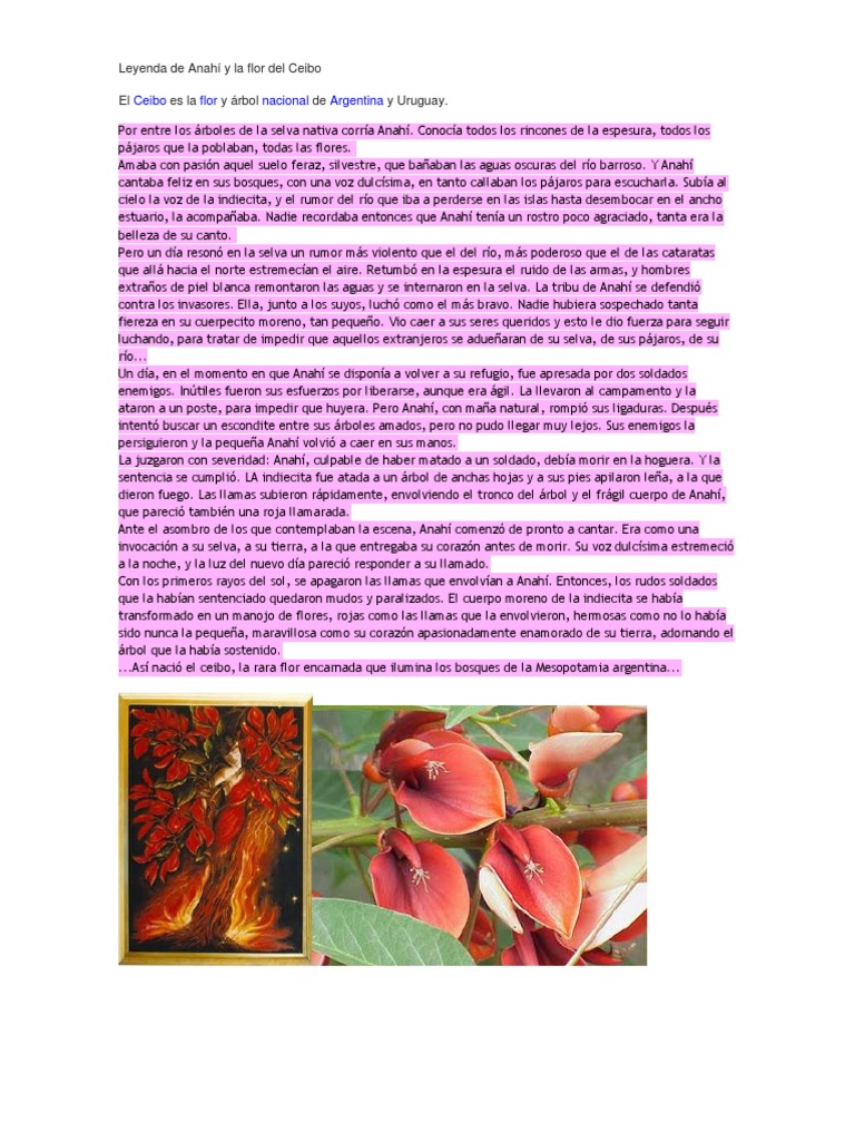 Leyenda de Anahí y La Flor Del Ceibo | PDF | Agitación | Conflicto armado
