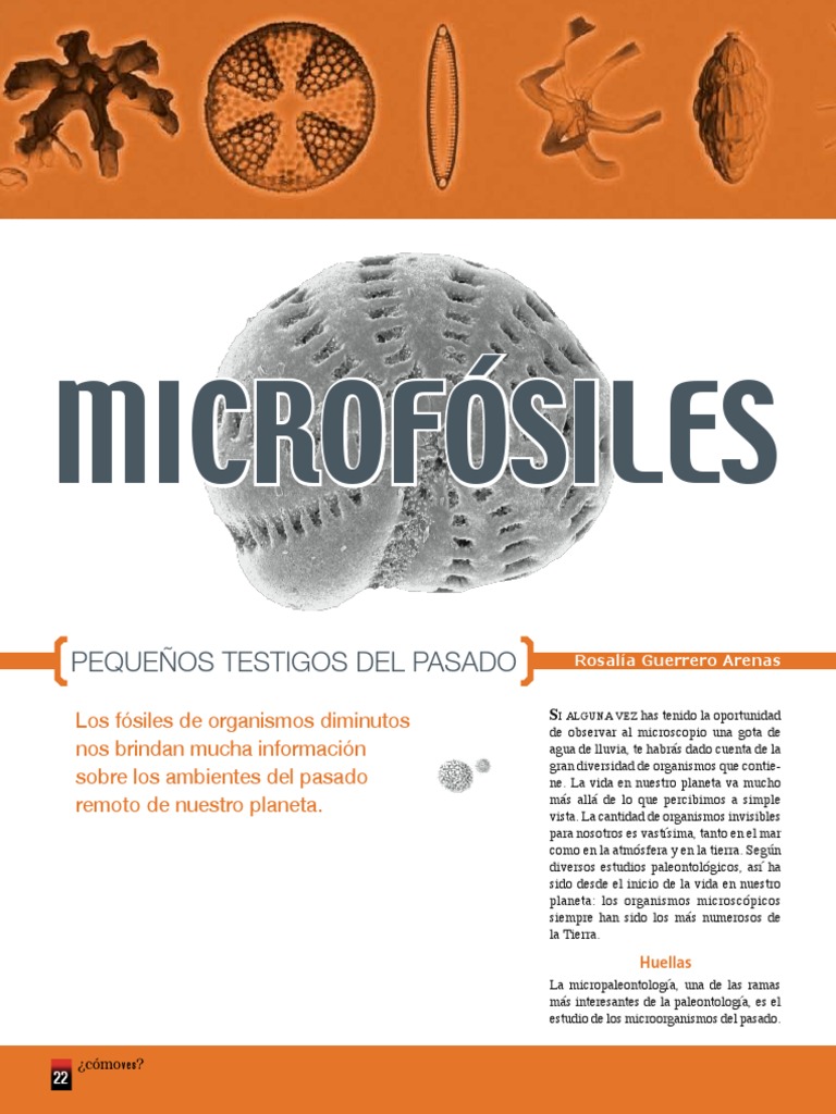 Microfosiles 108 Ok 22 24 | PDF | Fósil | Roca (geología)