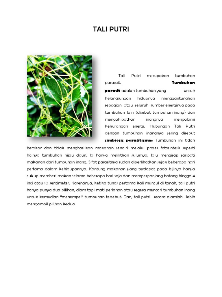 Tali Putri: Parasit dan Manfaatnya | PDF | Sains & Matematika