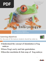 Frog Embryo Development Stages | PDF | Zoology | Developmental Biology