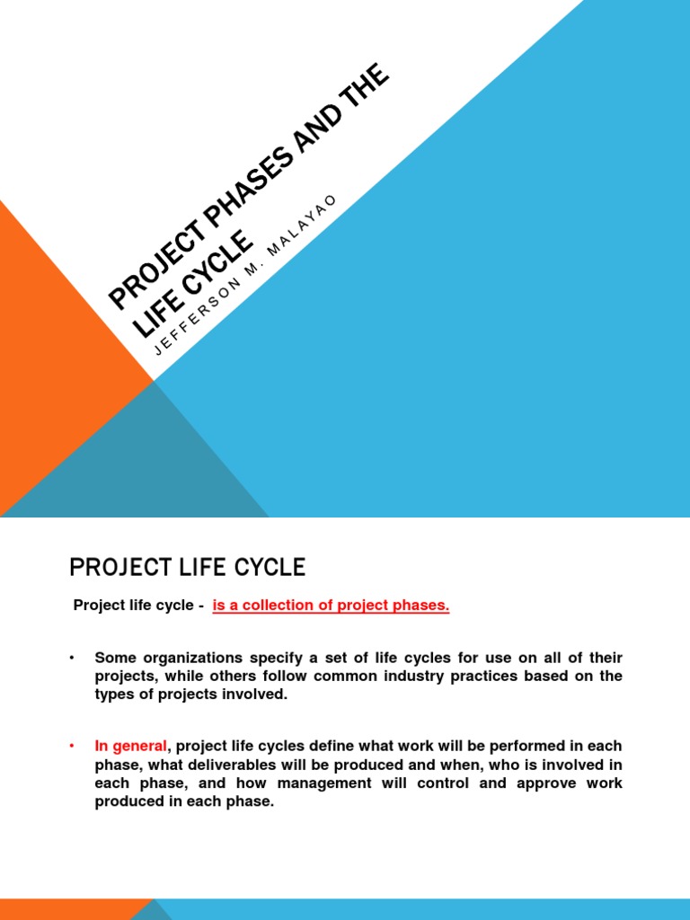 Project Life Cycle & Phases Guide | PDF | Project Management | Software ...