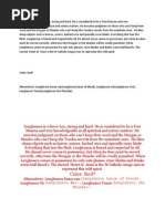 Understanding Bokors in Vodou | PDF | Haitian Vodou | Religion And Belief