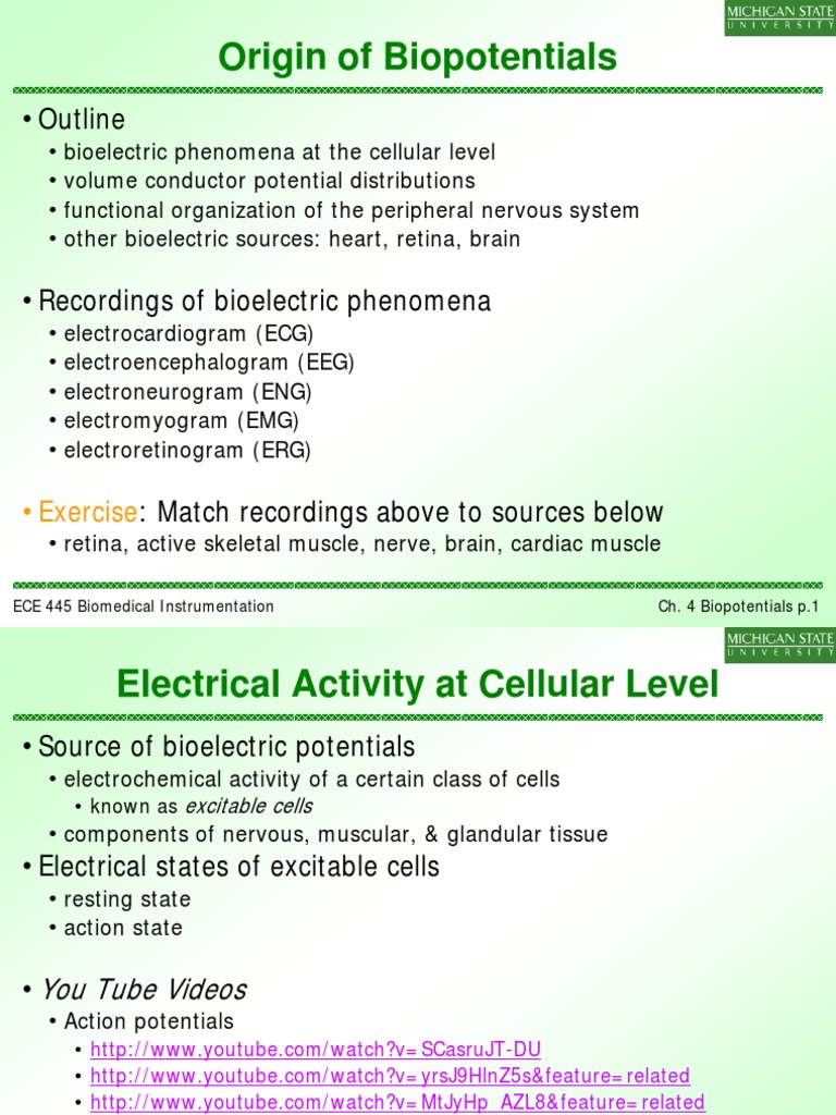 Biopotentials | PDF | Membrane Potential | Heart