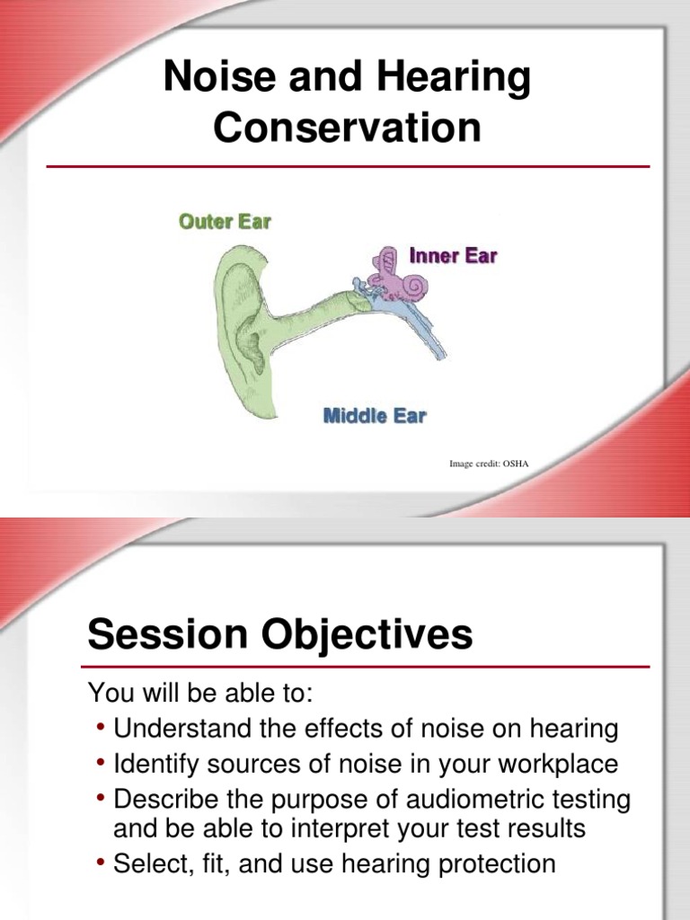 Noise And Hearing Conservation Ppt Noise Hearing