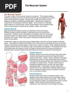 Functions and Structure of the Skeletal System | PDF | Bone | Skeleton