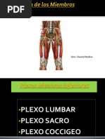 Clasificación Roper Hall y Dua | PDF