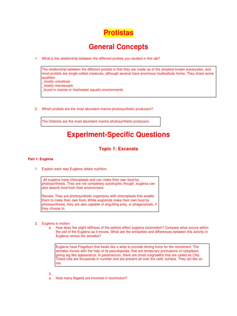 Protist Locomotion and Nutrition Overview | PDF | Staining | Organisms