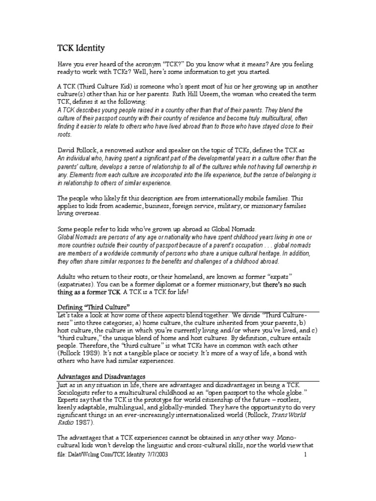 TCK Identity | PDF | Cognitive Science | Cognition