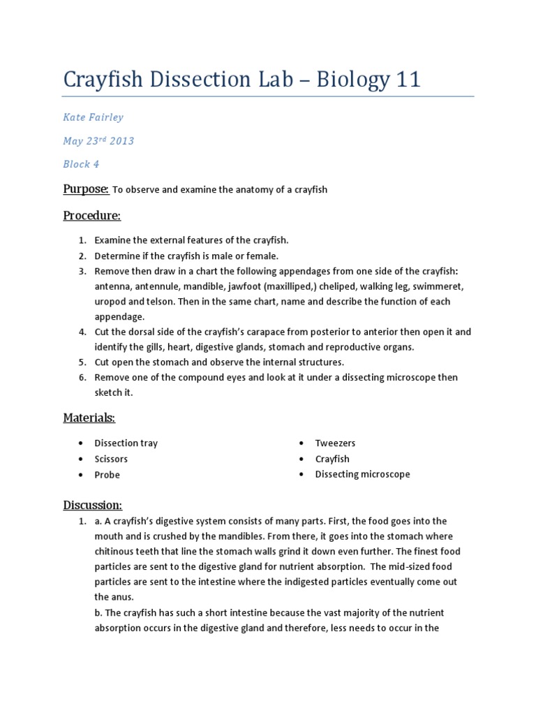 Crayfish Dissection: Anatomy and Functions | PDF | Digestion | Stomach