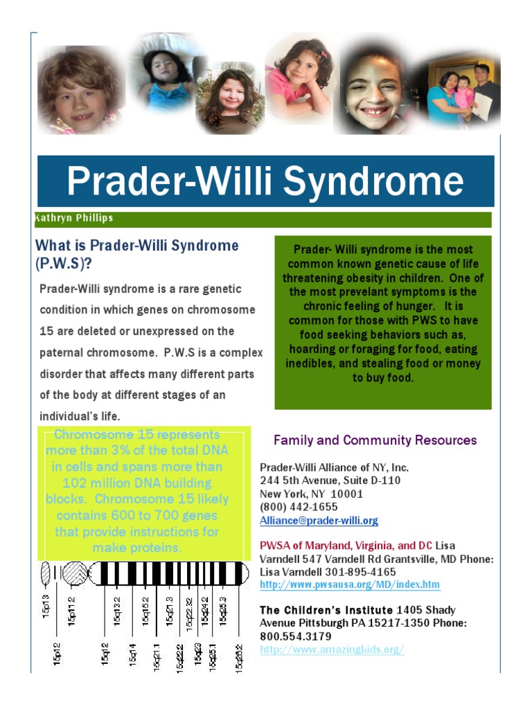 EDU 214 Prader Willi PDF | PDF | Diseases And Disorders | Health Sciences