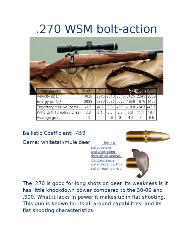 270 WSM Bolt | PDF | Ballistics | Pistol And Rifle Cartridges