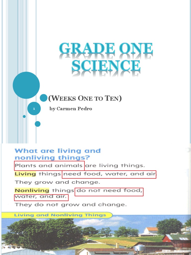 Grade One Science | PDF | Home & Garden