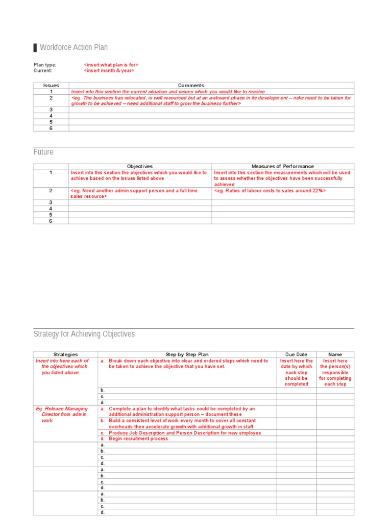 Workforce Action Plan | PDF