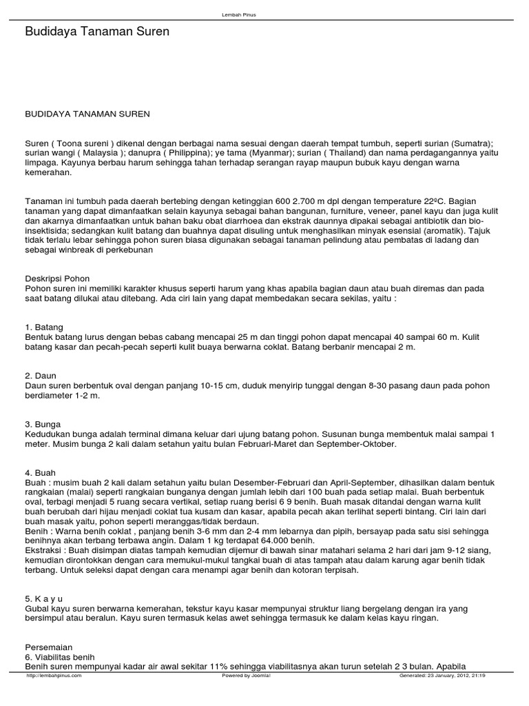 Kayu Surian PDF | PDF | Griya & Taman