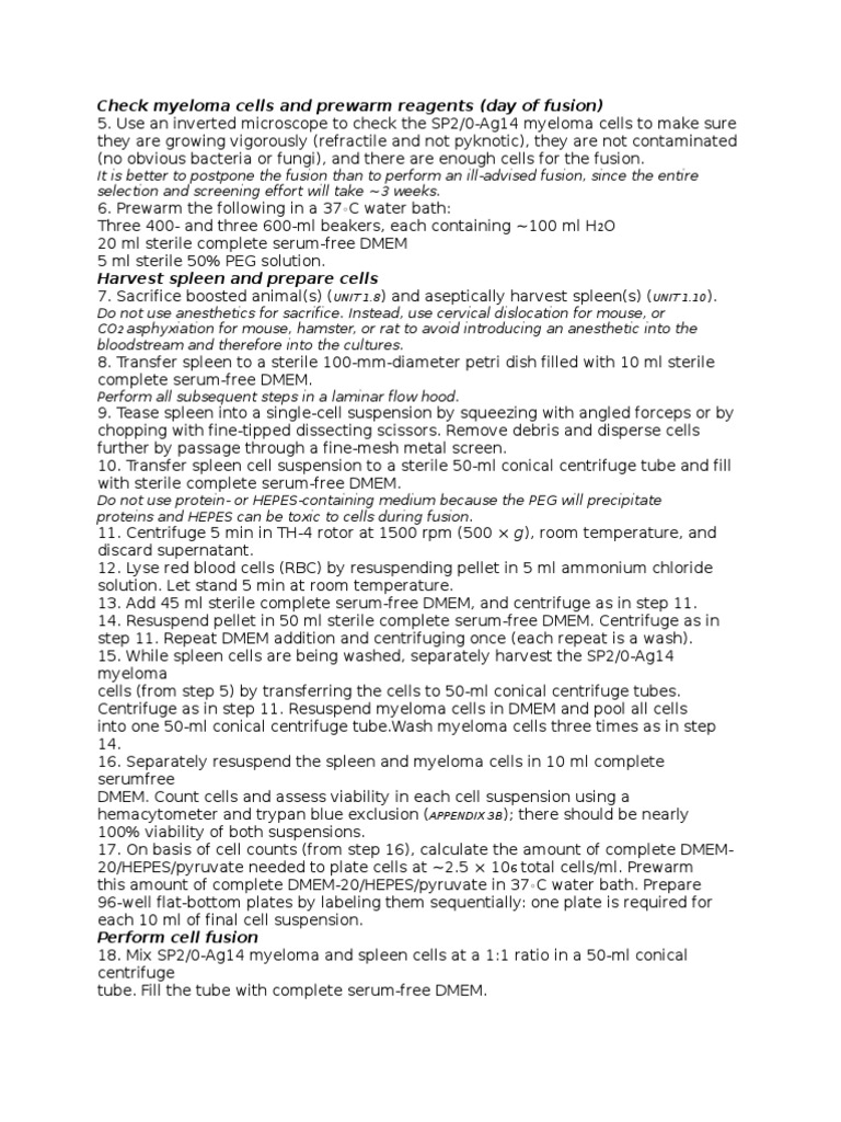 Myeloma Cell Fusion Protocol | PDF | Monoclonal Antibody | Biology