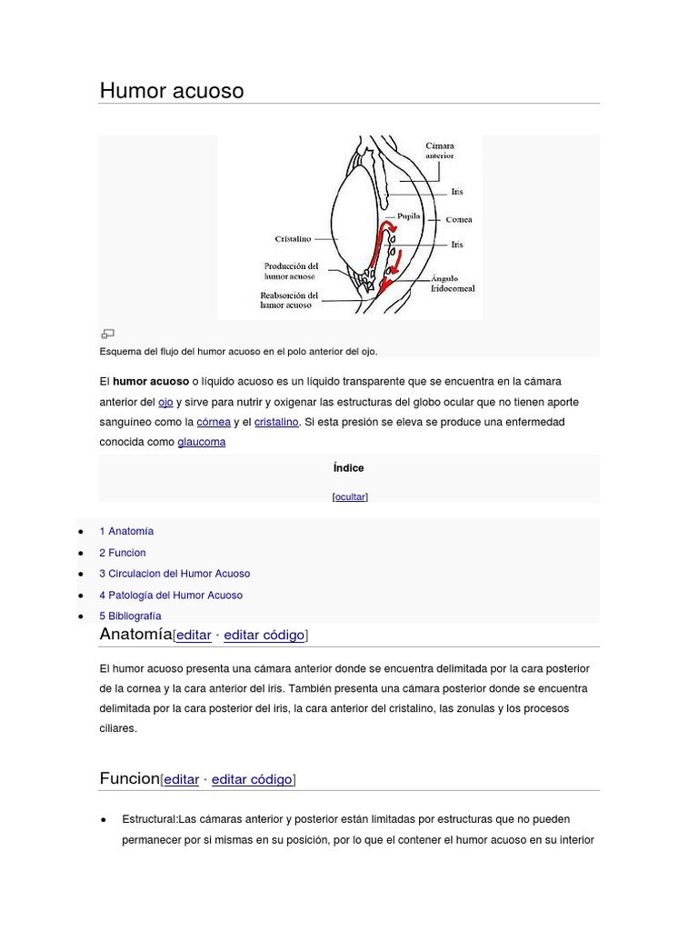 Humor Acuoso | PDF | Ojo humano | Oftalmología