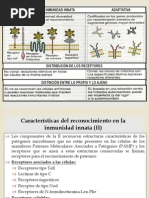 Retortamonas intestinalis: Protozoo Intestinal | PDF | Biología | Medicina