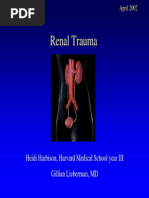 AAST Renal Injury Scale | PDF | Kidney | Injury