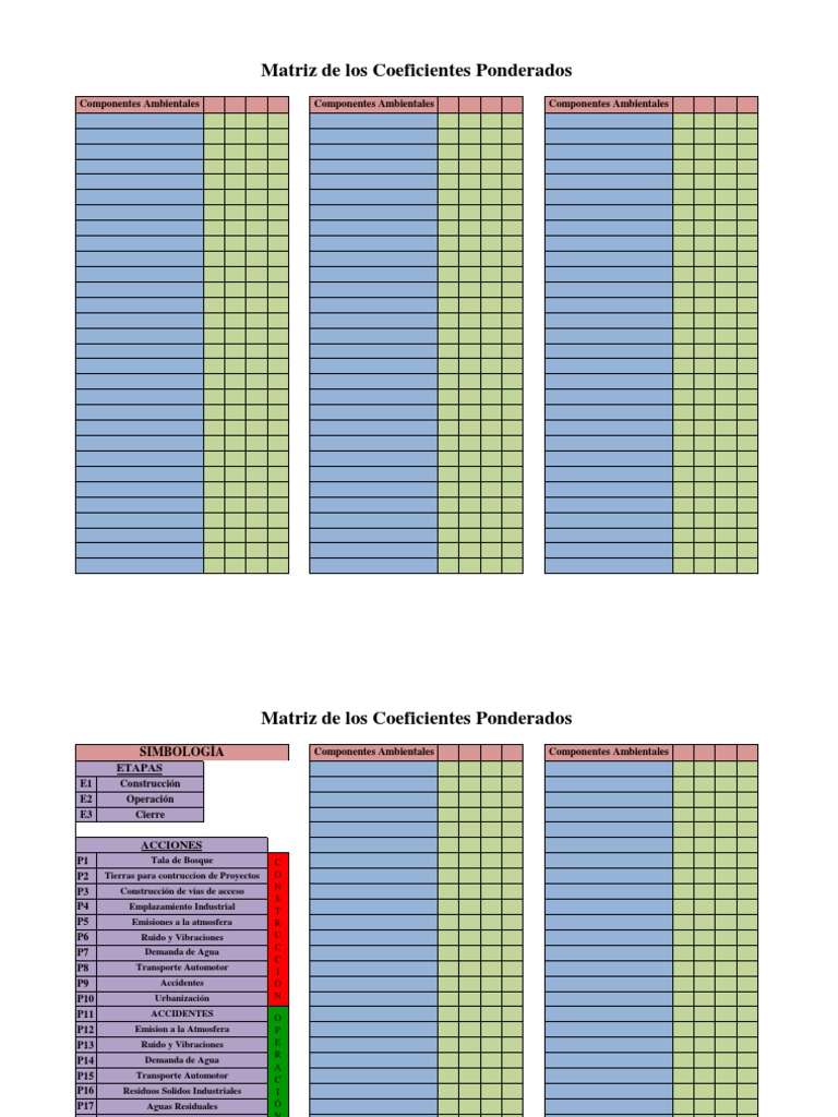 Matriz de Los Coeficientes Ponderados | PDF