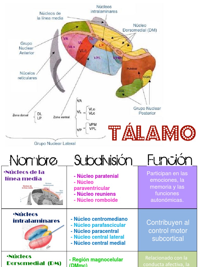 Talamo | PDF | Relaciones personales, crianza y desarrollo personal ...