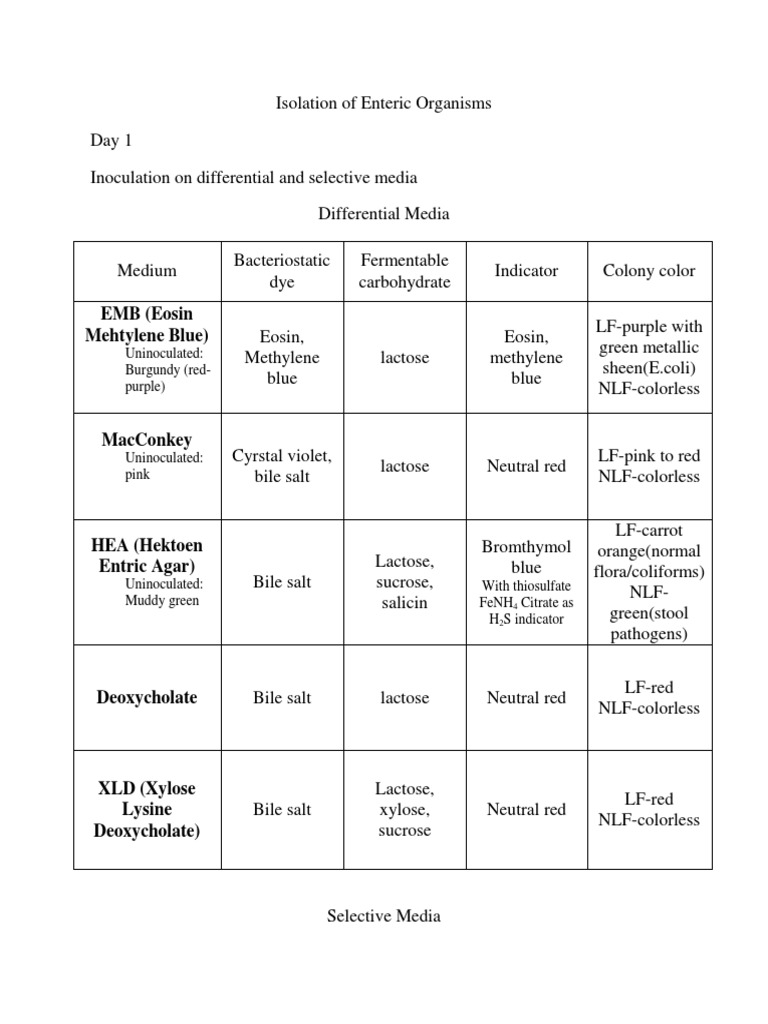 Isolation and Identification of Enteric Organisms | PDF
