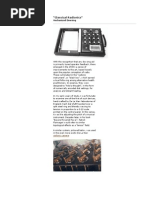 Radionic Amplify 2 | PDF