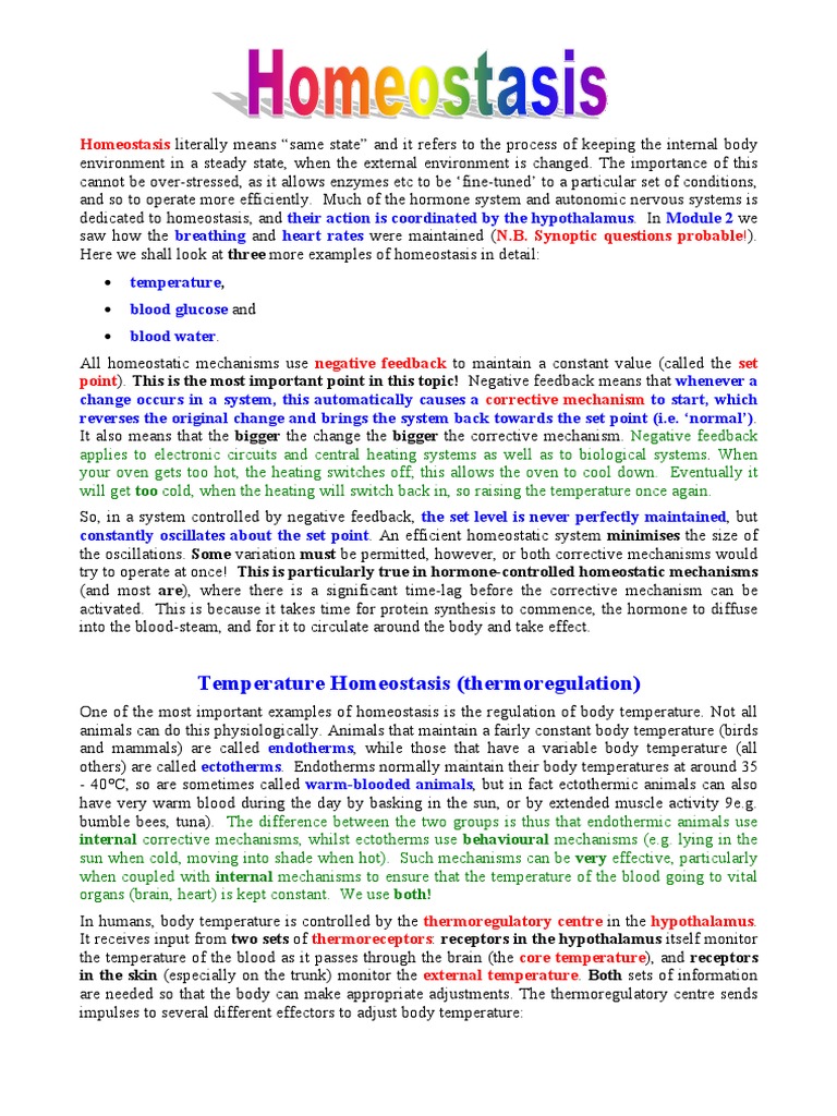 Temperature Homeostasis (Thermoregulation) | PDF