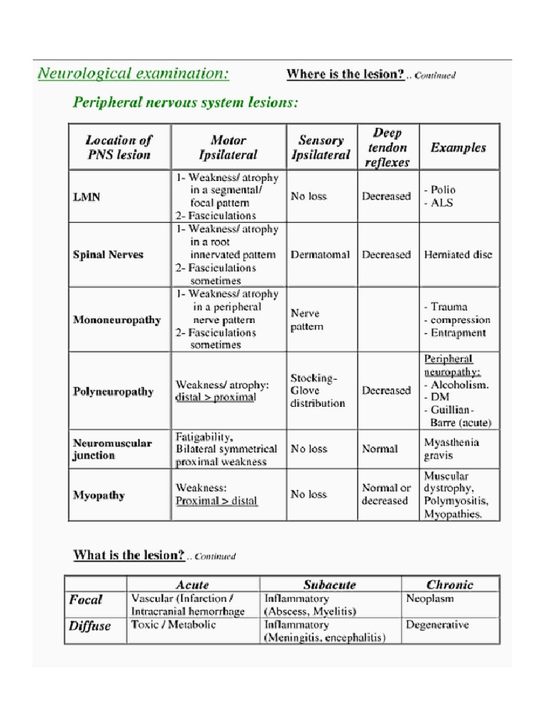 Neuro exam - osce tips.pdf Neuro exam - osce tips.pdf