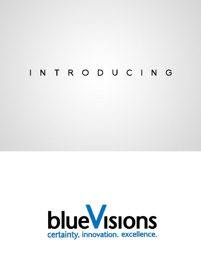 Bluevisions Background & Introduction | PDF | Project Management | Risk ...