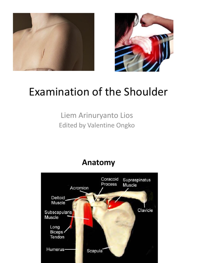 Examination of The Shoulder | PDF | Anatomical Terms Of Motion | Shoulder