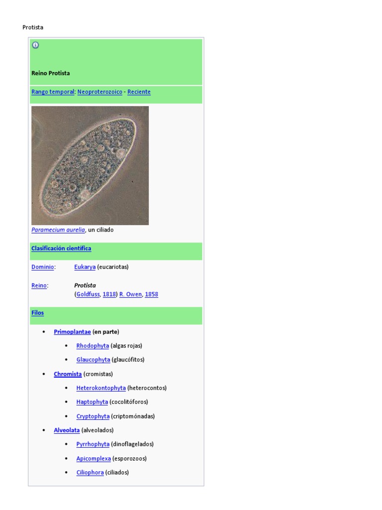 Protista | PDF | Plantas | Biología