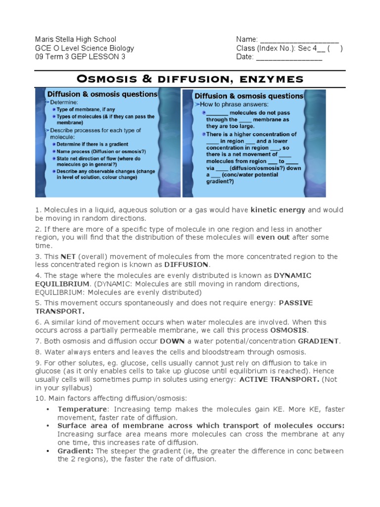 GCE O Level Biology: Osmosis & Enzymes | PDF | Osmosis | Diffusion