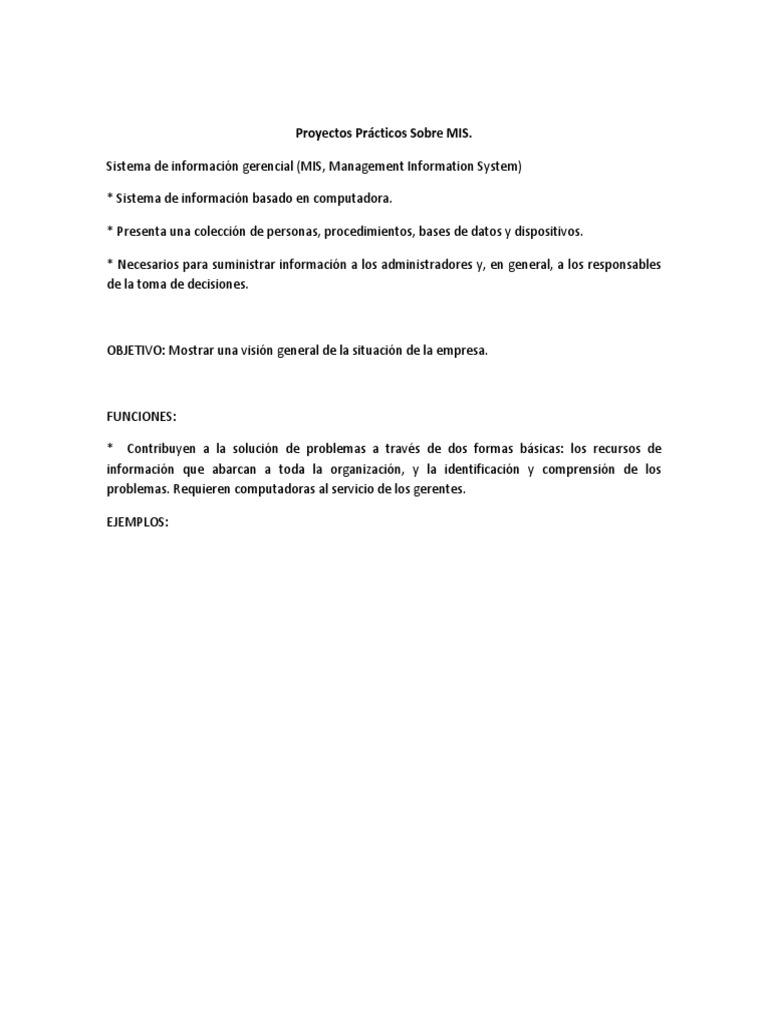 Proyectos Prácticos Sobre MIS | PDF