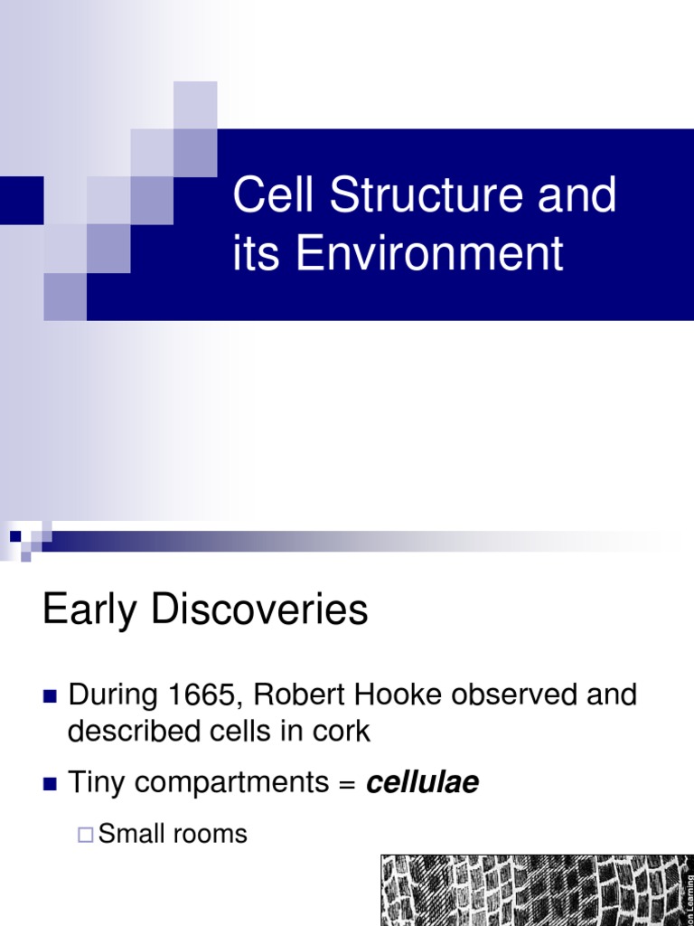 Cell Structure and Its Environment | PDF | Cell Nucleus | Cell (Biology)