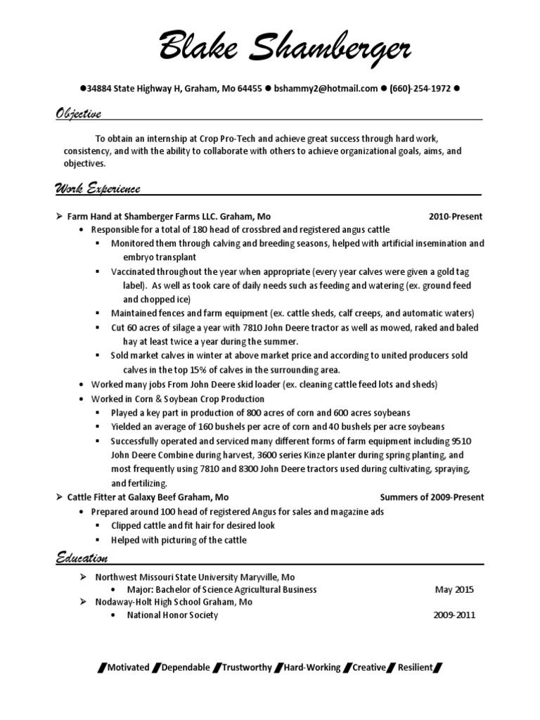 Resume Blake Shamberger | PDF