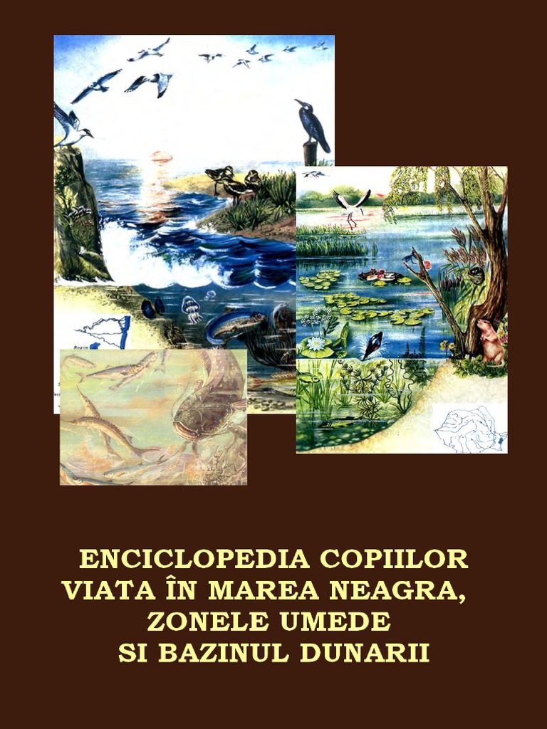 Enciclopedia Copiilor Viata in Marea Neagra Zonele Umede Si Bazinul ...