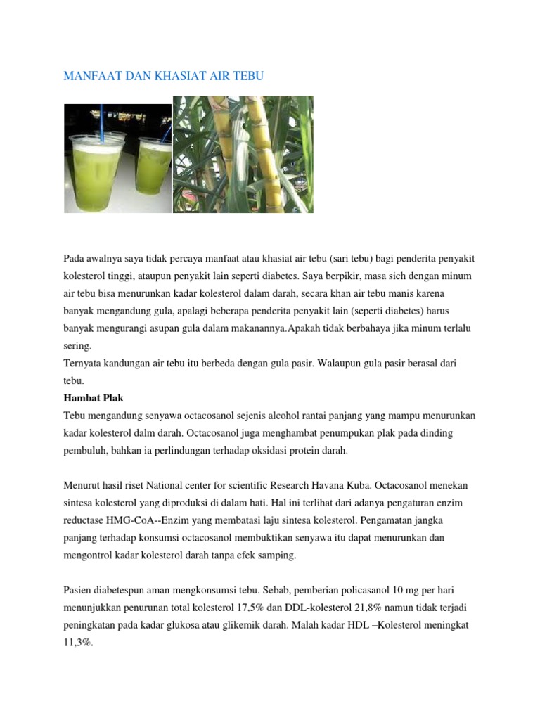 Manfaat Dan Khasiat Air Tebu | PDF