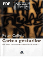 Cds-Analiza de Nevoi | PDF