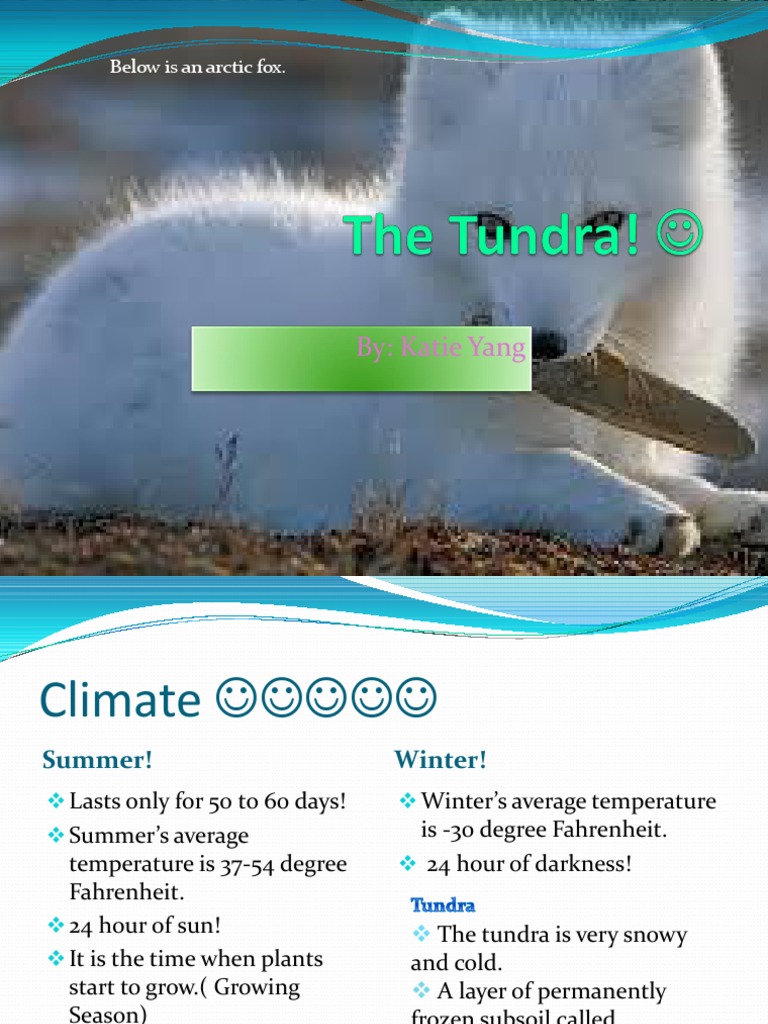 Tundra Climate and Ecosystem Overview | PDF | Science & Mathematics